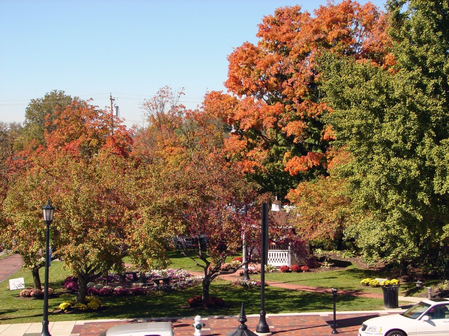 Fall at the Golden Lamb